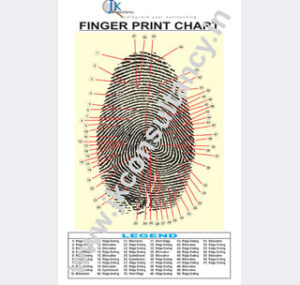 Fingerprint Wall Chart Poster, Fingerprint Training Material India ...
